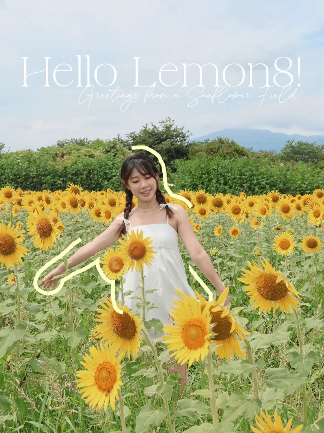 Greetings from — a Sunflower Field 🌻 | แกลเลอรีที่โพสต์โดย Natalie ♡ | Lemon8