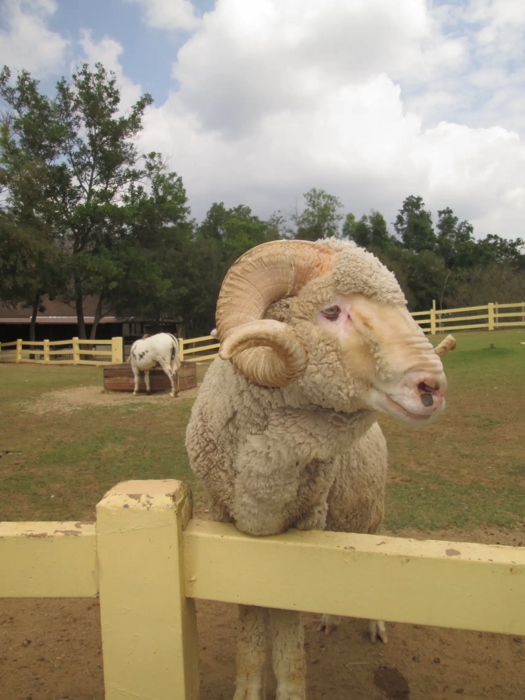 🍋 ミ review กล้องดิจิตอลตัวโปรด | แกลเลอรีที่โพสต์โดย namtan | Lemon8