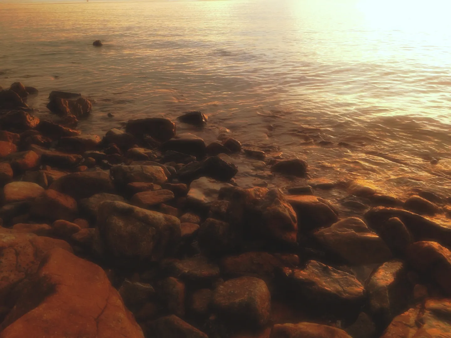 The Sunset | Gallery posted by LifeInsightsHub | Lemon8