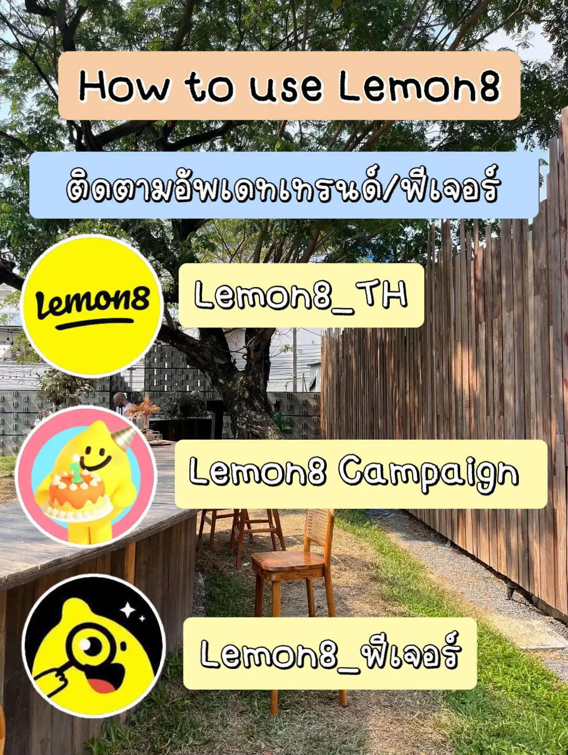 แต่งหน้าปกง่ายๆด้วยแอปเดียว Lemon8 | ฉบับมือใหม่ | แกลเลอรีที่โพสต์โดย Bellebeli | Lemon8