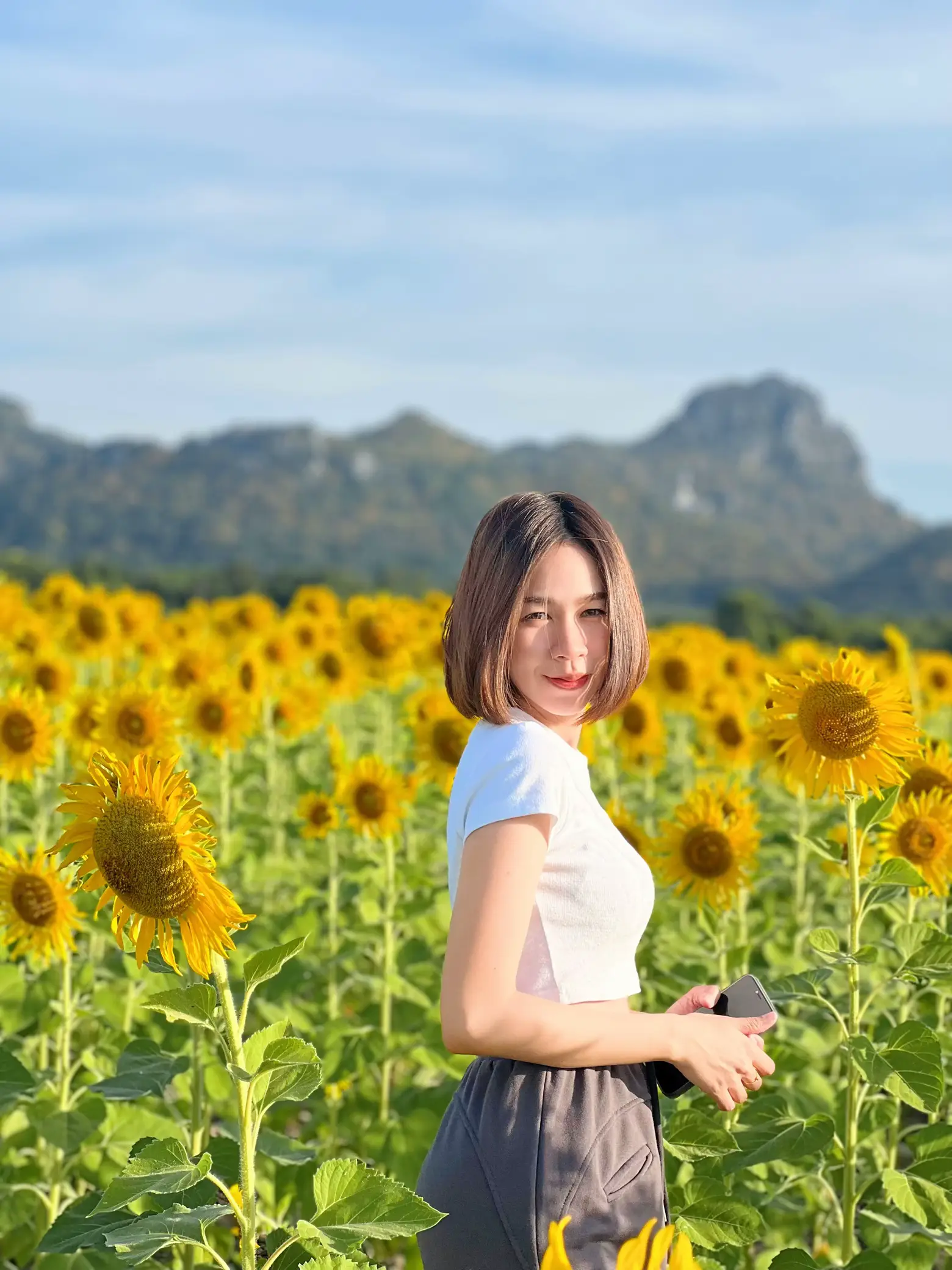 ทุ่งทานตะวันลพบุรี | แกลเลอรีที่โพสต์โดย Lada_🤍 | Lemon8