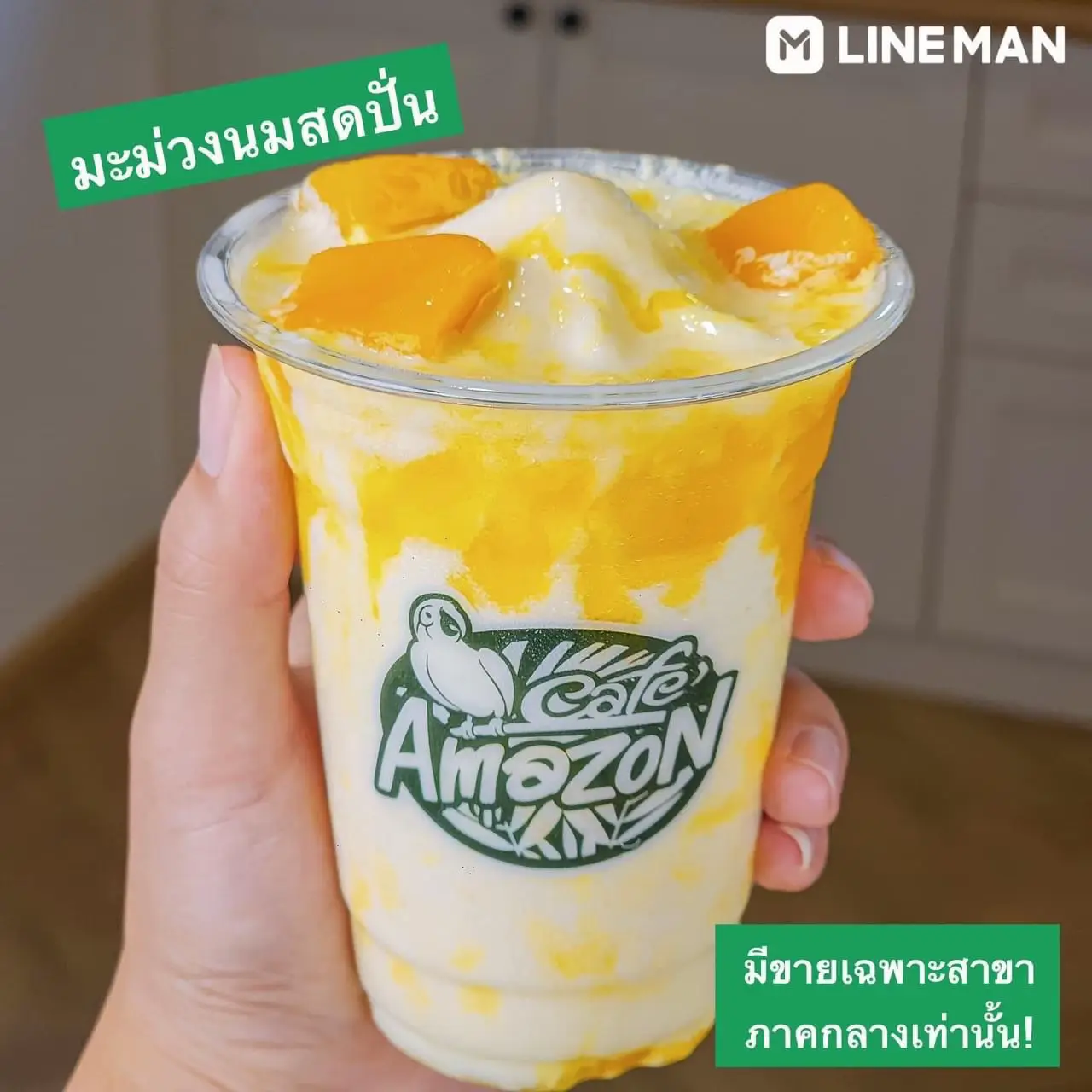 💚เมนูใหม่! Café Amazon เครื่องดื่ม 4 ภาคทั่วไทย รับซัมเมอร์😍 | แกลเลอรี ...