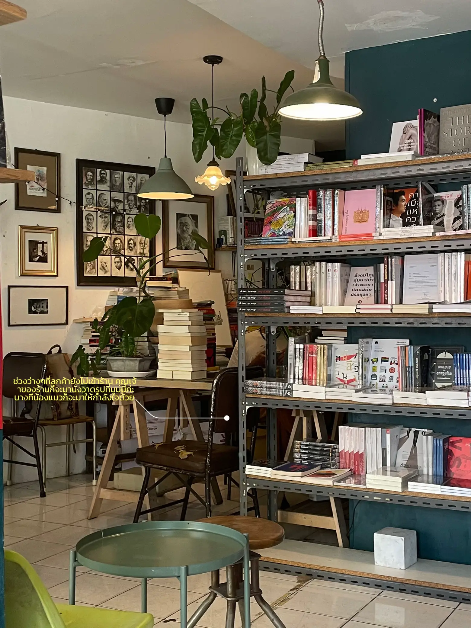 A BOOK with NO NAME - หนังสือ แมว และกาแฟ | แกลเลอรีที่โพสต์โดย Julie 🪴 ...