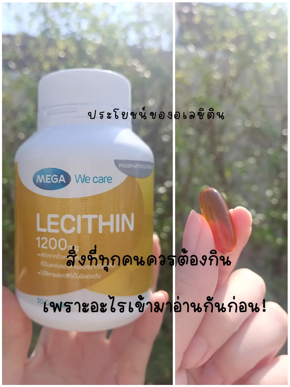 ประโยชน์ของเลซิติน (Lecithin) | แกลเลอรีที่โพสต์โดย Sweetblossom | Lemon8