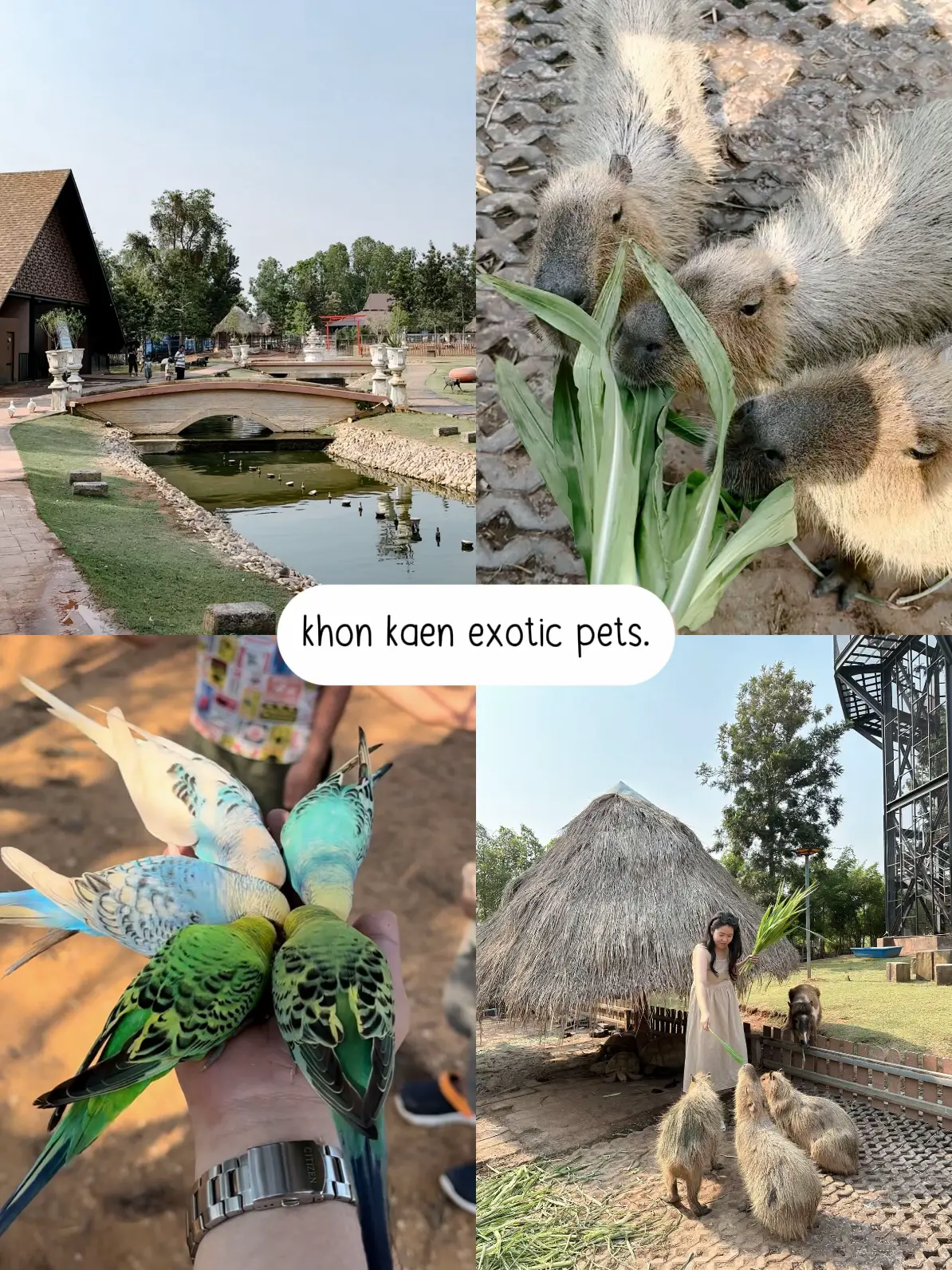 รีวิวคาเฟ่ Khon Kaen 🦖🦕 | แกลเลอรีที่โพสต์โดย Jun Pavee | Lemon8