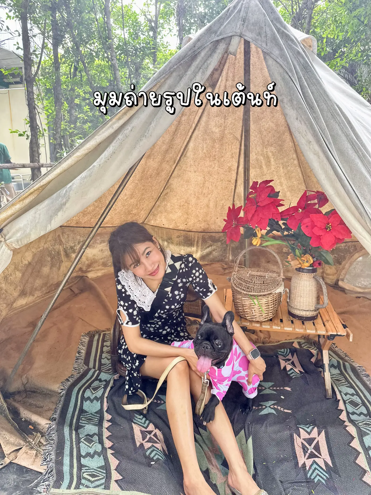 คาเฟ่พาน้องหมาเข้าได้ บรรยากาศดี ติดแม่น้ำ Prakai Cafe | แกลเลอรีที่ ...