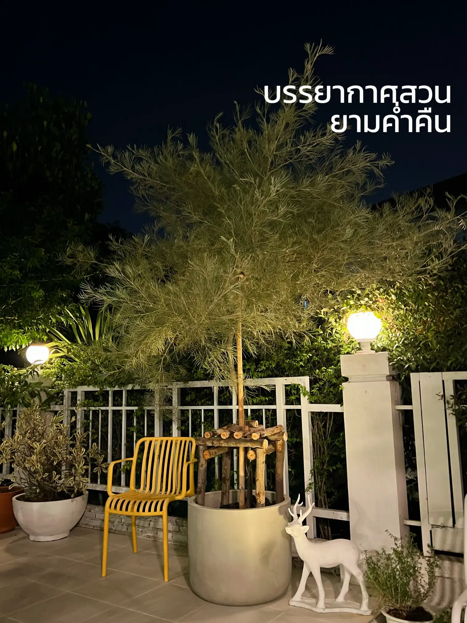 หลงรักต้นไม้ที่บ้านตัวเอง🍃 | วิดีโอที่เผยแพร่โดย Salin Story🌸 | Lemon8