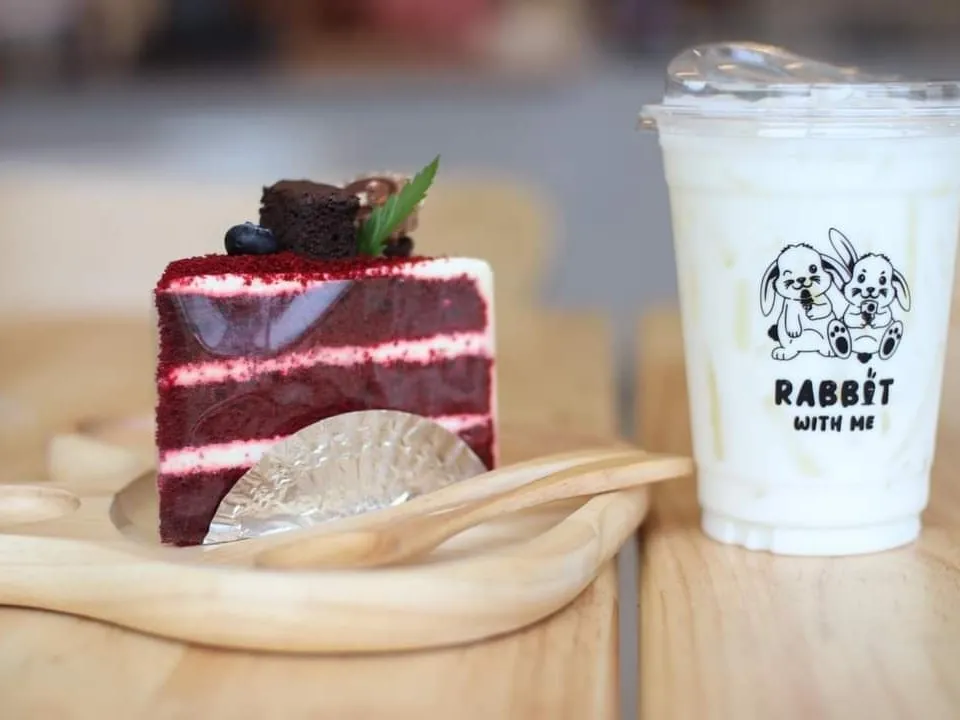 Rabbit With Me Cafe คาเฟ่กระต่ายบางแสน | แกลเลอรีที่โพสต์โดย Rabbit With Me | Lemon8