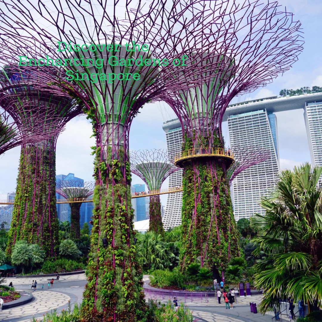 Sky-High Views: Singapore's Gardens by the Bay | Gallery posted by Michael Ng | Lemon8