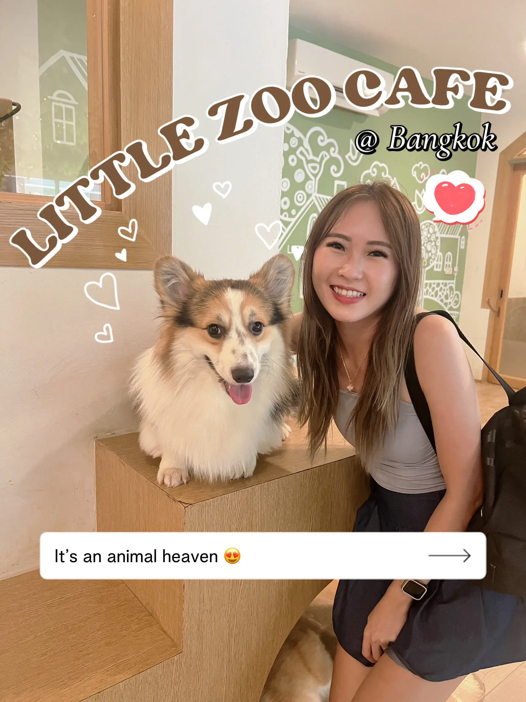 best capybara cafe in Bangkok - Lemon8 Search