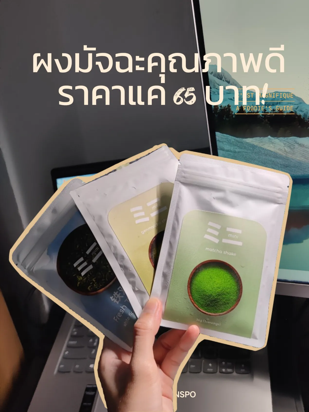 สาวกมัจฉะ ห้ามพลาดเด็ดขาด | แกลเลอรีที่โพสต์โดย Miu.pth | Lemon8