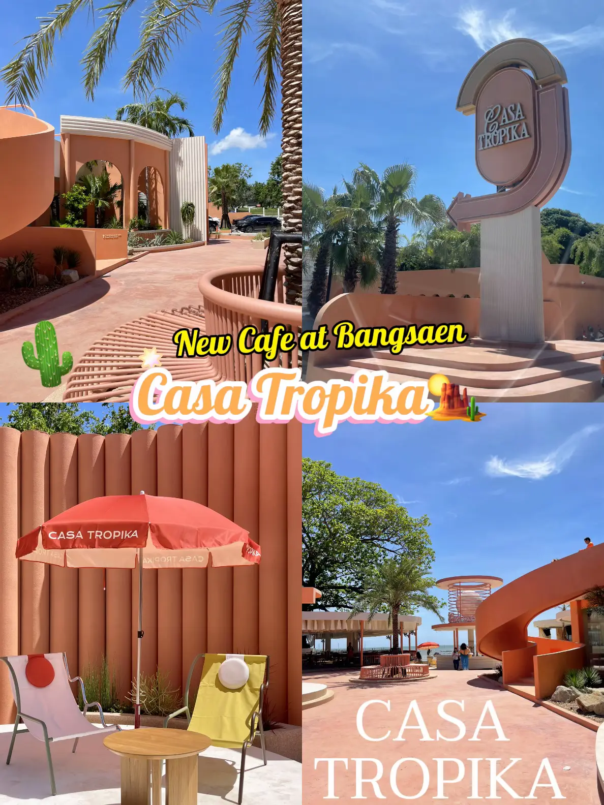 CASA TROPIKA🏜️ บางแสนพักก่อน แกจะเปิดคาเฟ่ใหม่ทุกวันไม่ได้ปะ | แกลเลอรี ...