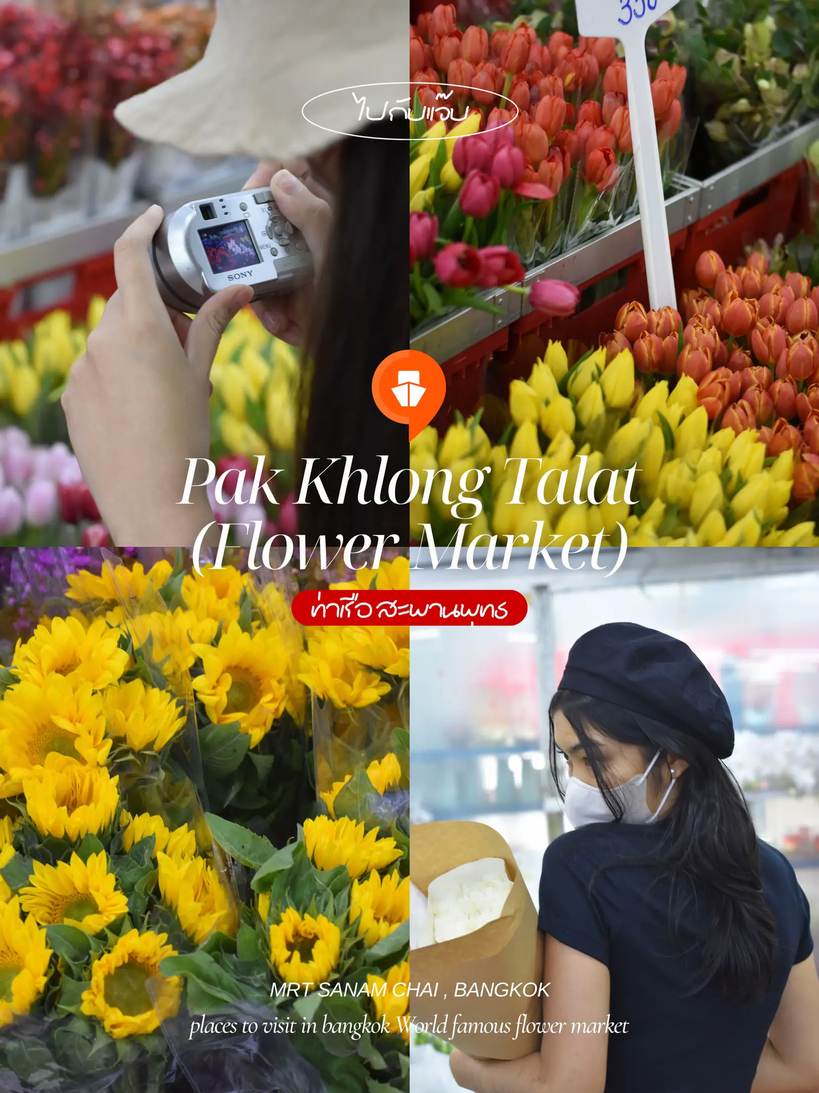 เรือด่วนเจ้าพระยาไปไหนได้บ้าง 🛳️💖 | แกลเลอรีที่โพสต์โดย ไปกับแจ๊บ | GWJ | Lemon8