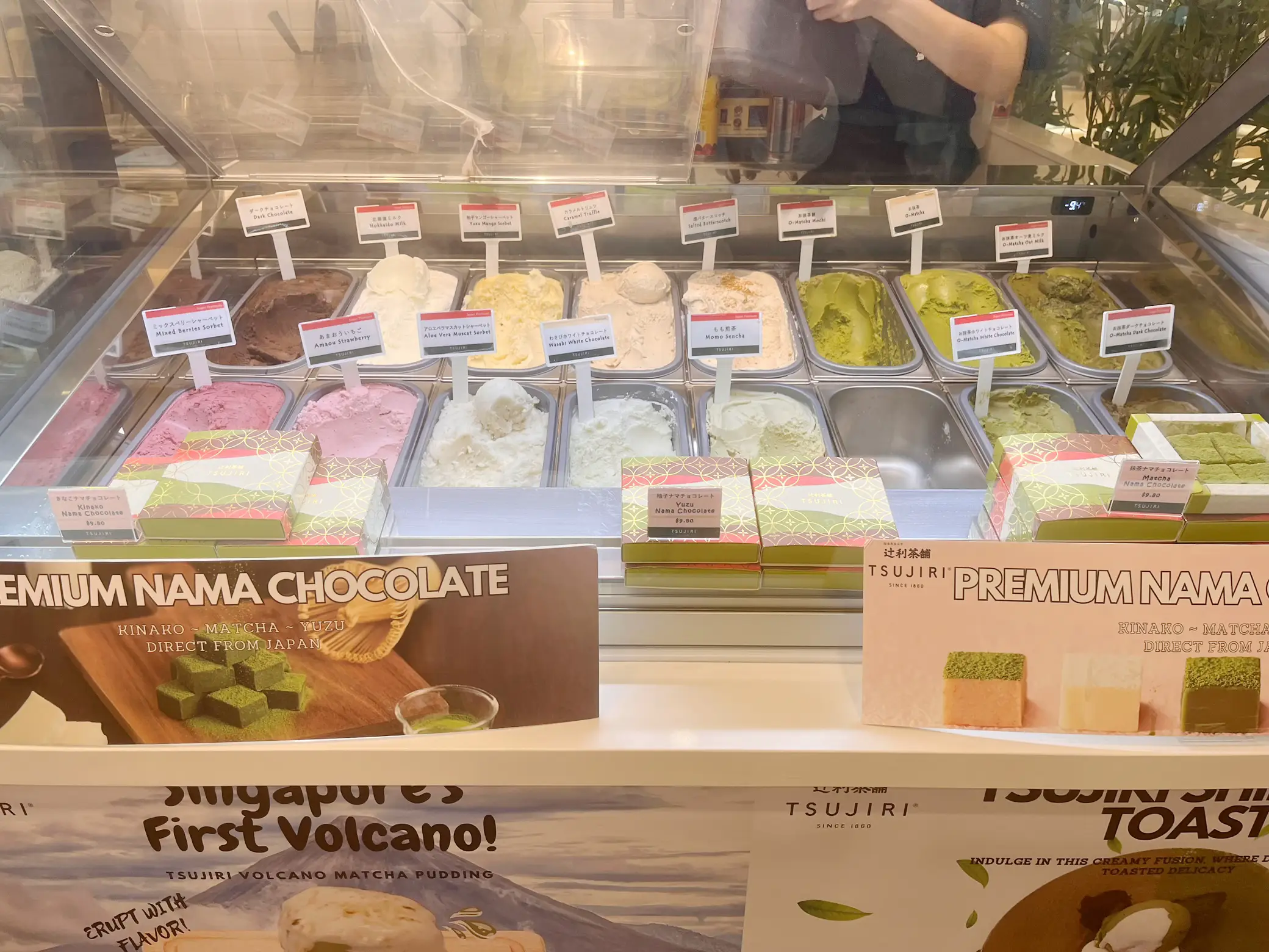 All about Matcha | Gallery posted by JuneLLL | Lemon8