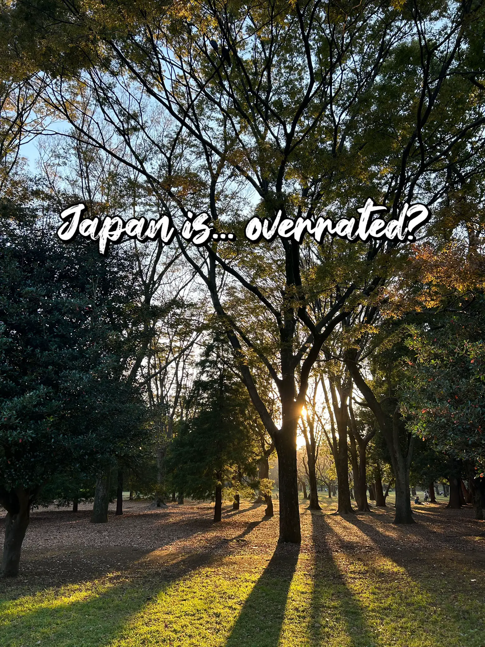 is it me or… is Japan overrated..? 🇯🇵 | Gallery posted by megan | Lemon8