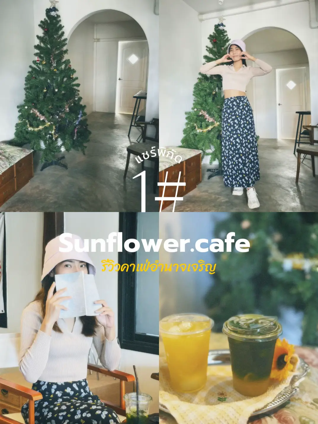 Sunflower.cafe | แกลเลอรีที่โพสต์โดย Daisy_ | Lemon8