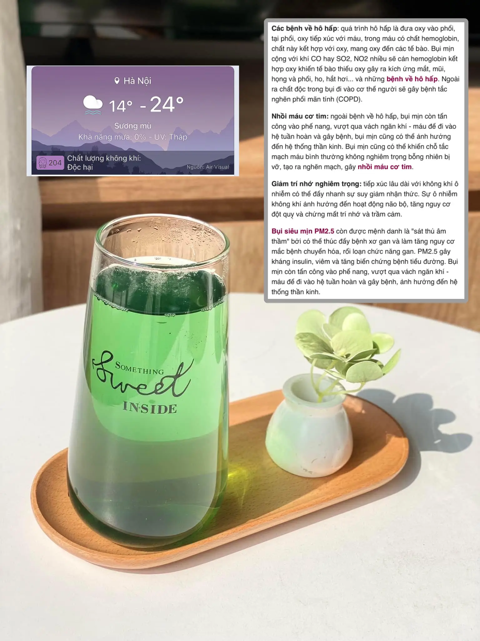 Thải độc bụi mịn chống các bệnh về hô hấp đột quỵ📌 | Bộ sưu tập do Kim Quy đăng | Lemon8