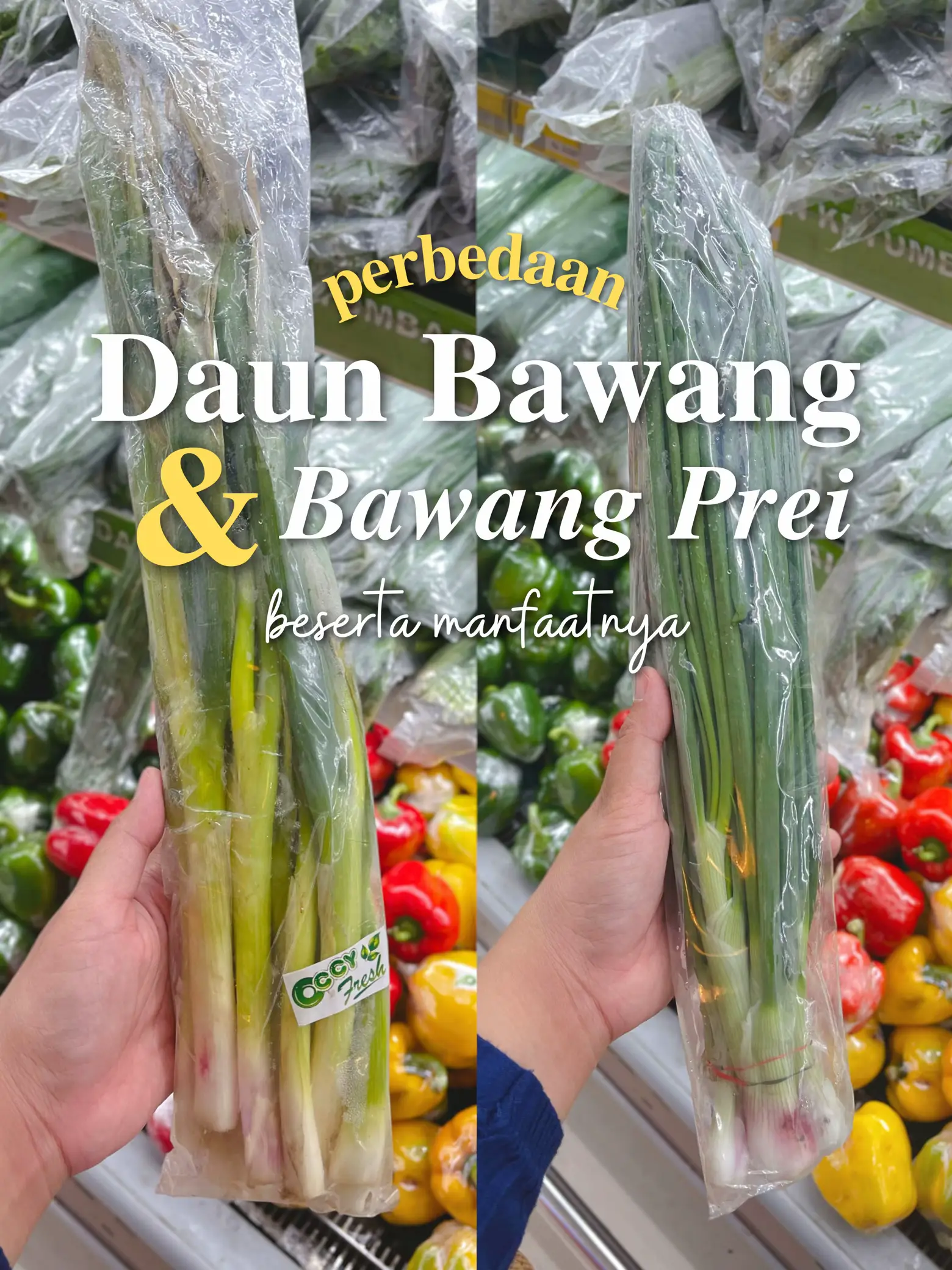 Sering TERBALIK! Mana Daun Bawang Mana Daun Prei? | Galeri diposting ...