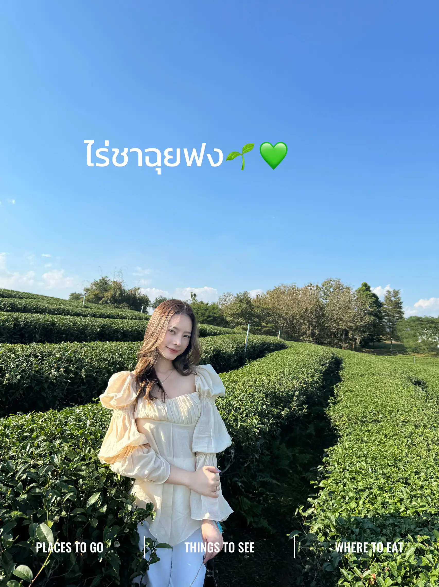 ถ่ายรูปไร่ชาฉุยฟง💚 | แกลเลอรีที่โพสต์โดย Busaraptc | Lemon8