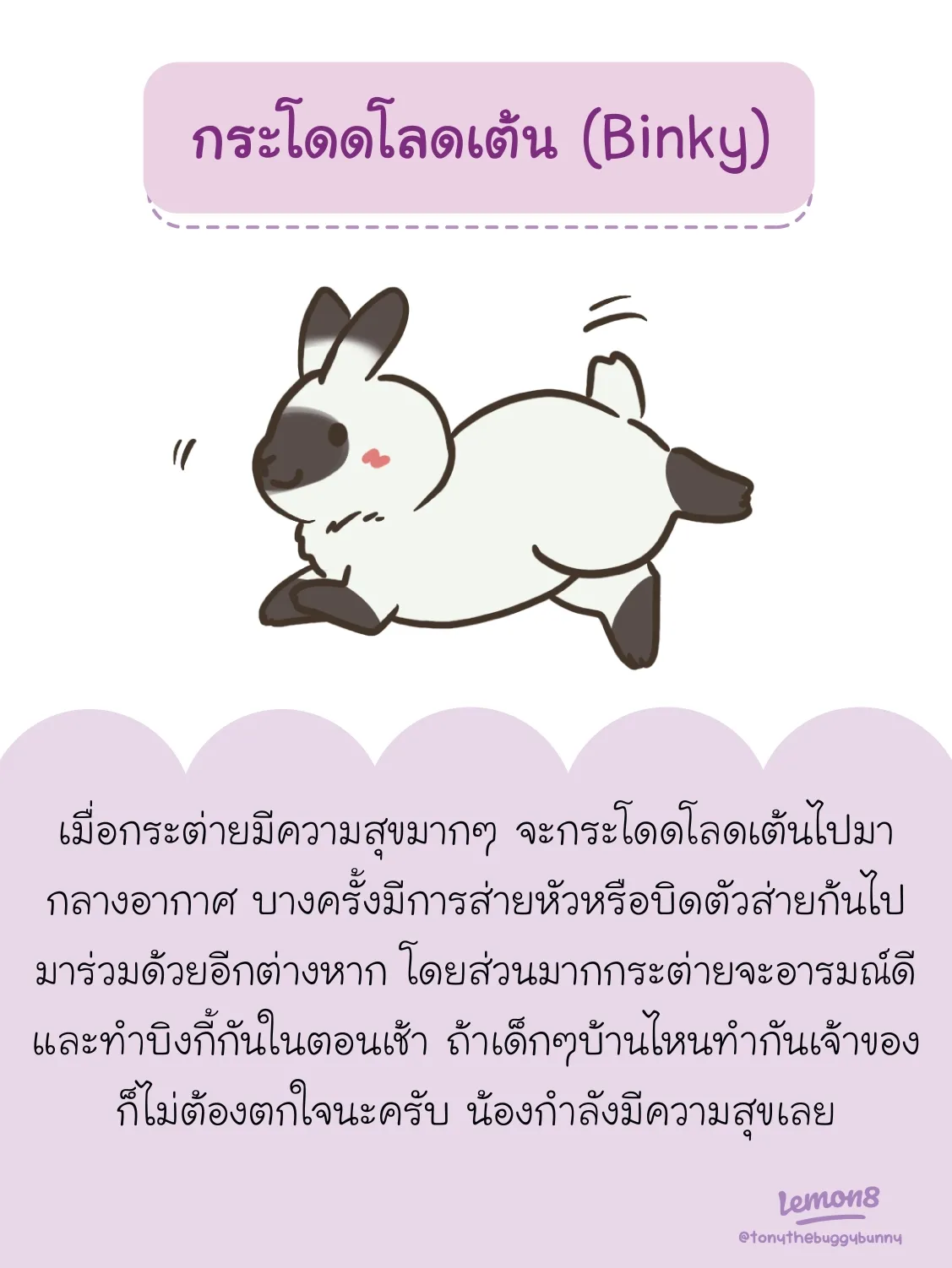 5 สิ่งรู้ไว้ กระต่ายมีความสุข | แกลเลอรีที่โพสต์โดย Tony Bunny | Lemon8