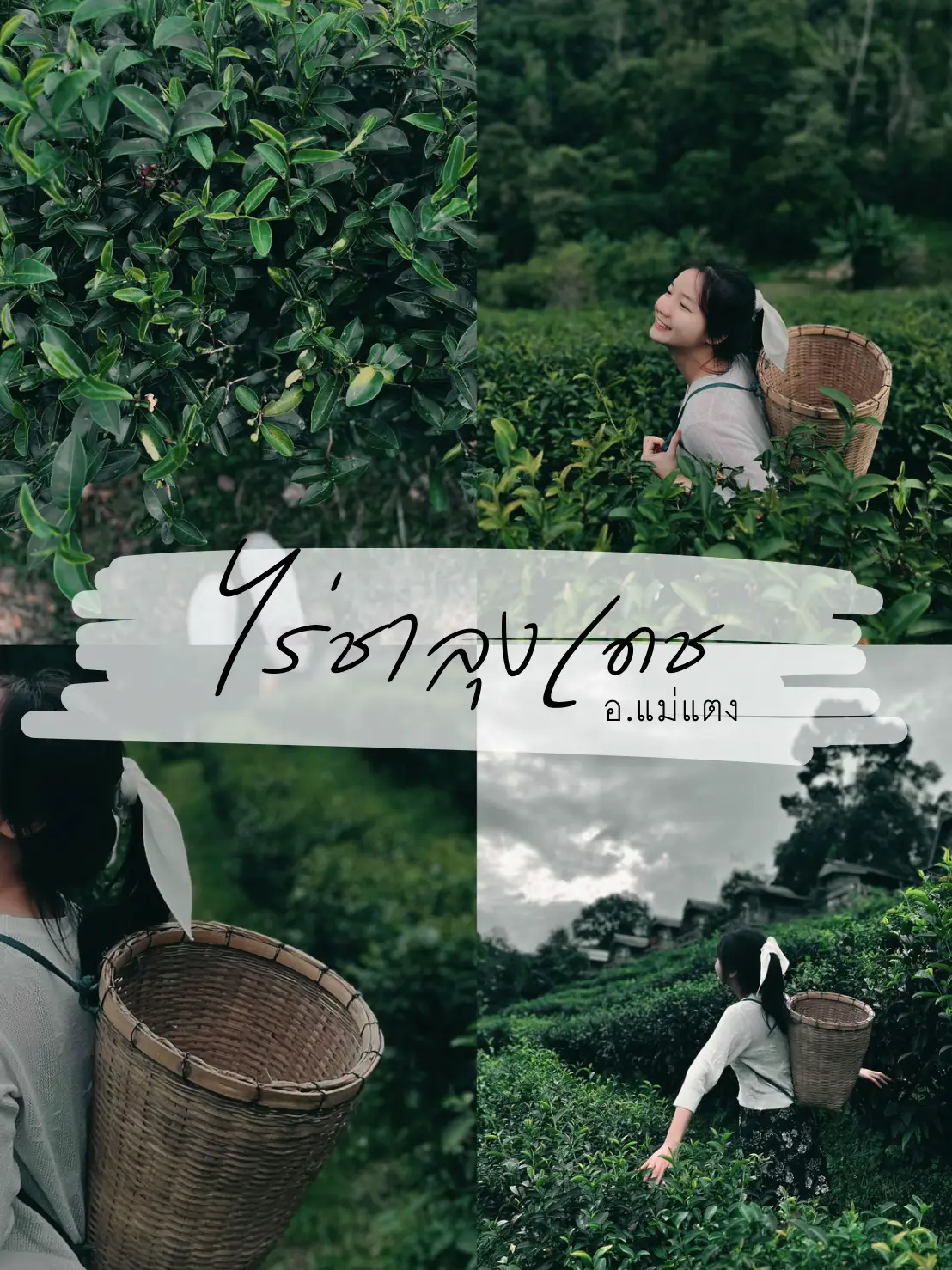 รวมสถานที่เที่ยวแนวธรรมชาติจังหวัดเชียงใหม่ที่ไปแล้วประทับเวอร์ | แกลเลอรีที่โพสต์โดย Anusara ...