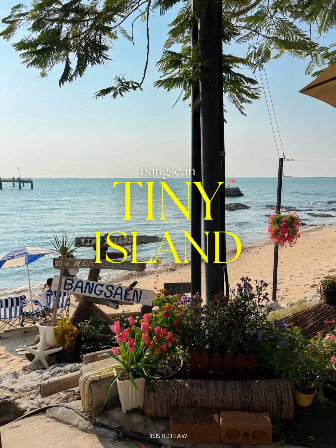 ร้าน Tiny Island มีอะไรน่าสนใจบ้าง | 2025 ประสบการณ์ผู้ใช้จริงบน Lemon8