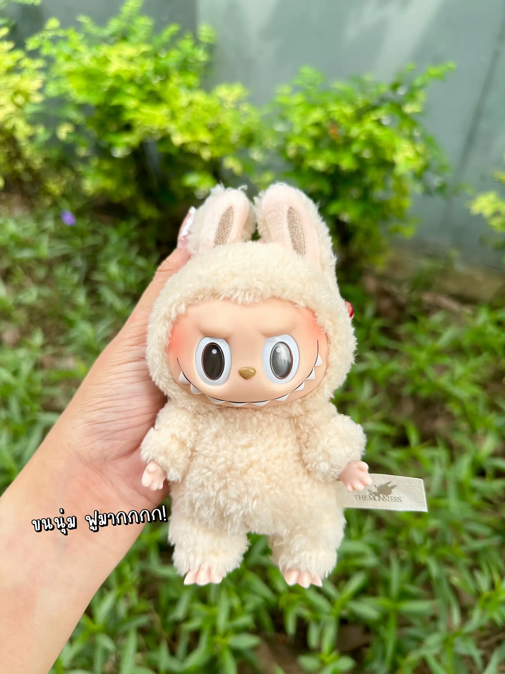 19 ไอเดียยอดนิยมเกี่ยวกับ Labubu กล่องใสกับซอง ในปี 2024