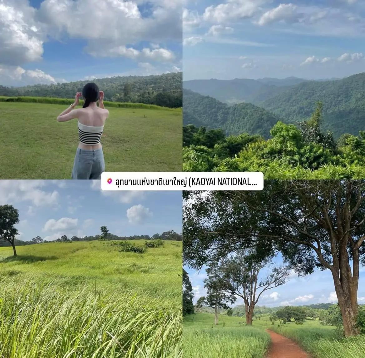 เขาใหญ่น่าเที่ยว 🌳 | แกลเลอรีที่โพสต์โดย Ailada | Lemon8