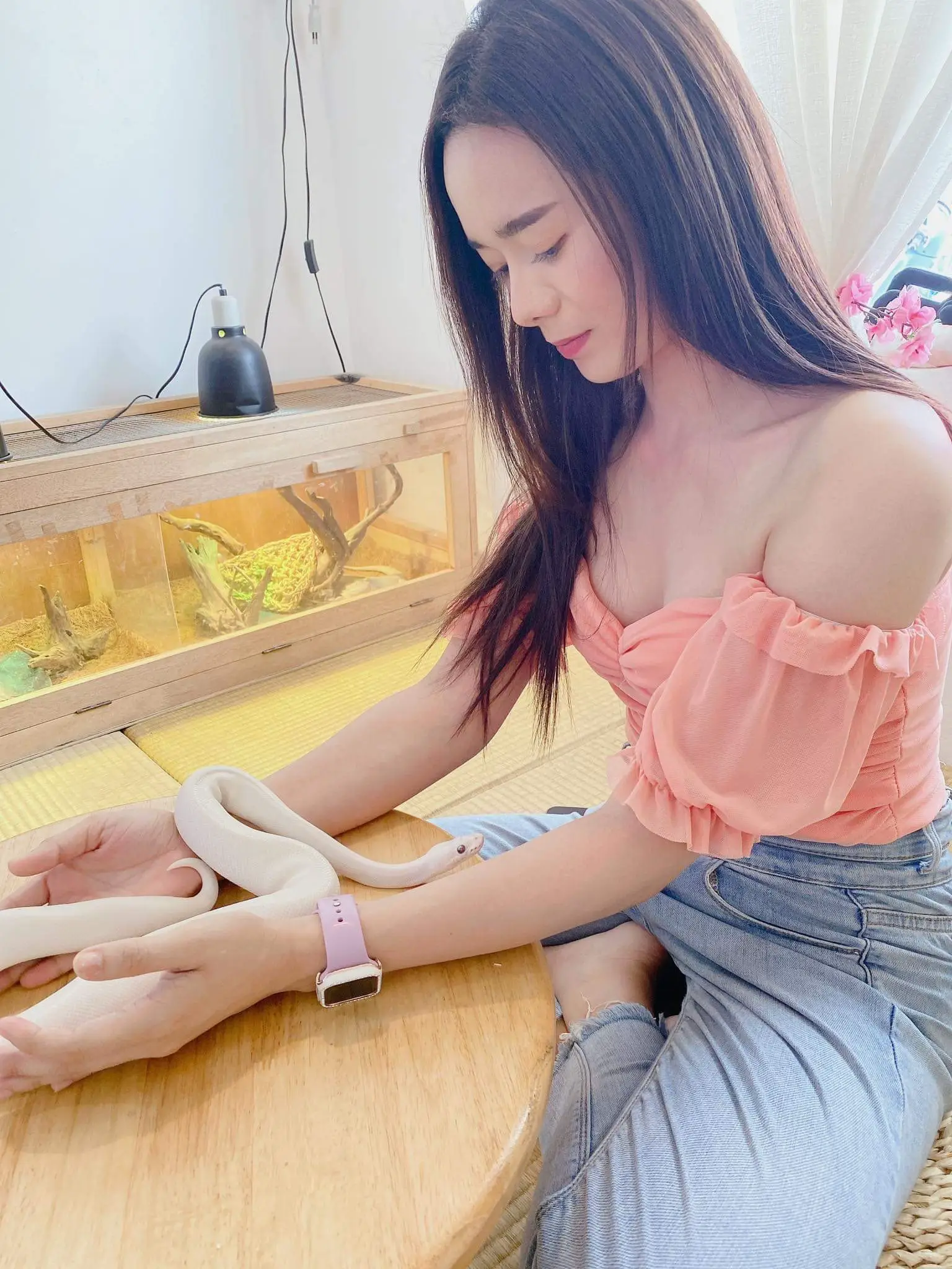 Maha Exotic Cafe “คาเฟ่งูสวยงาม” | แกลเลอรีที่โพสต์โดย MOji | Lemon8