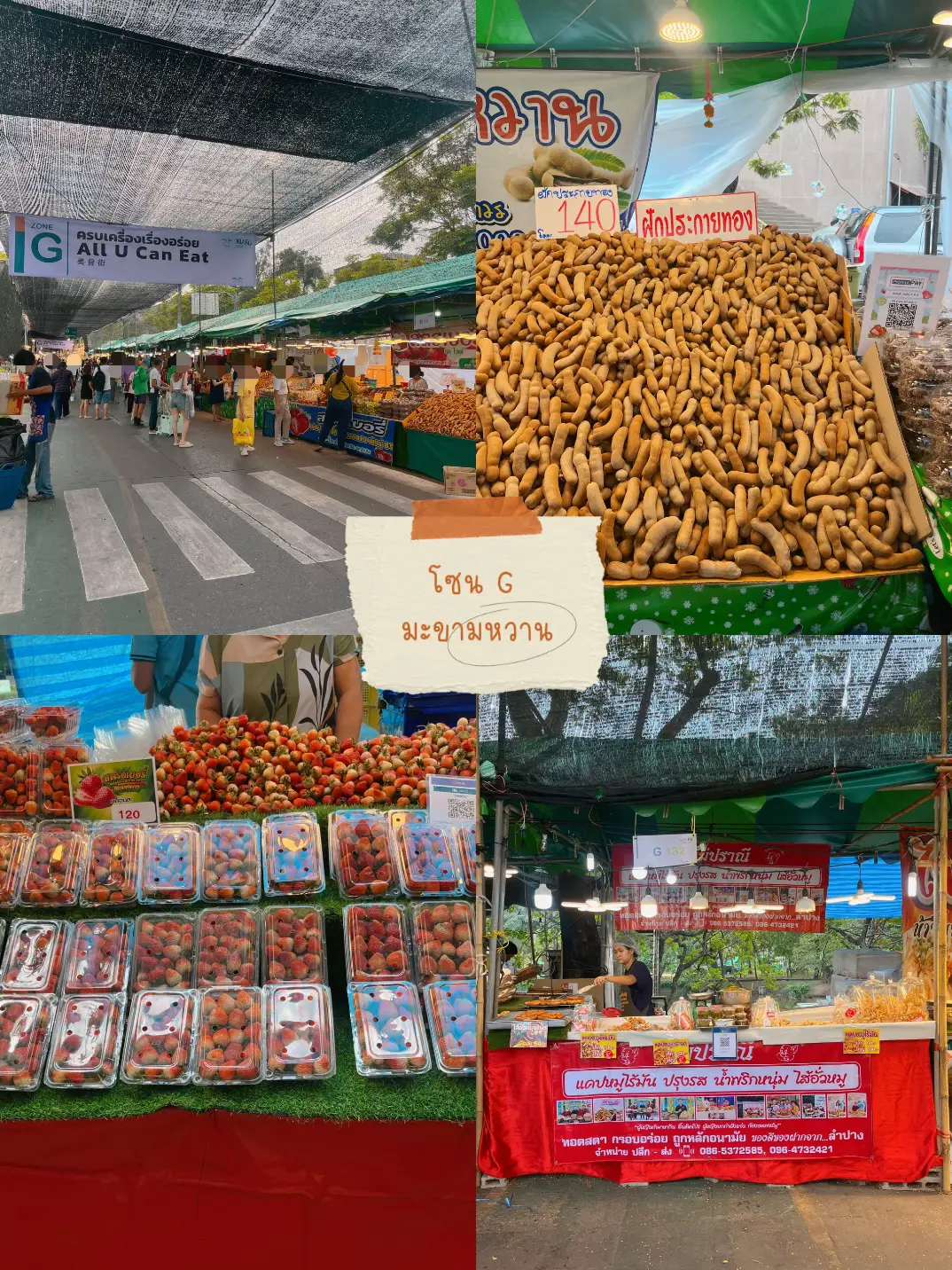 😊กลับมาแล้ว! ”งานเกษตรแฟร์ 2567“ | แกลเลอรีที่โพสต์โดย TripTamJai | Lemon8