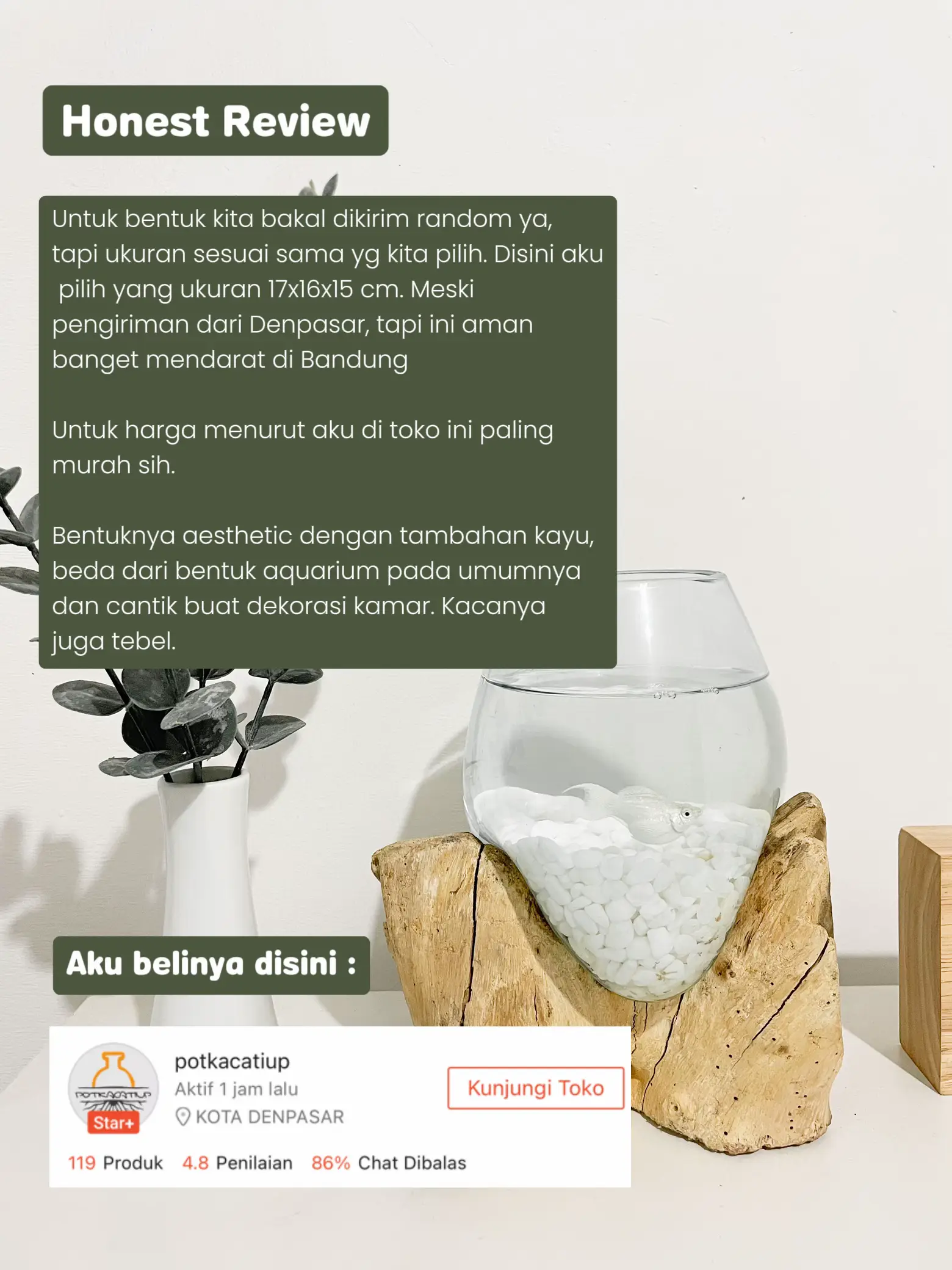 DEKORASI KAMAR PAKAI MINI AQUARIUM AESTHETIC 🐟 | แกลเลอรีที่โพสต์โดย ...