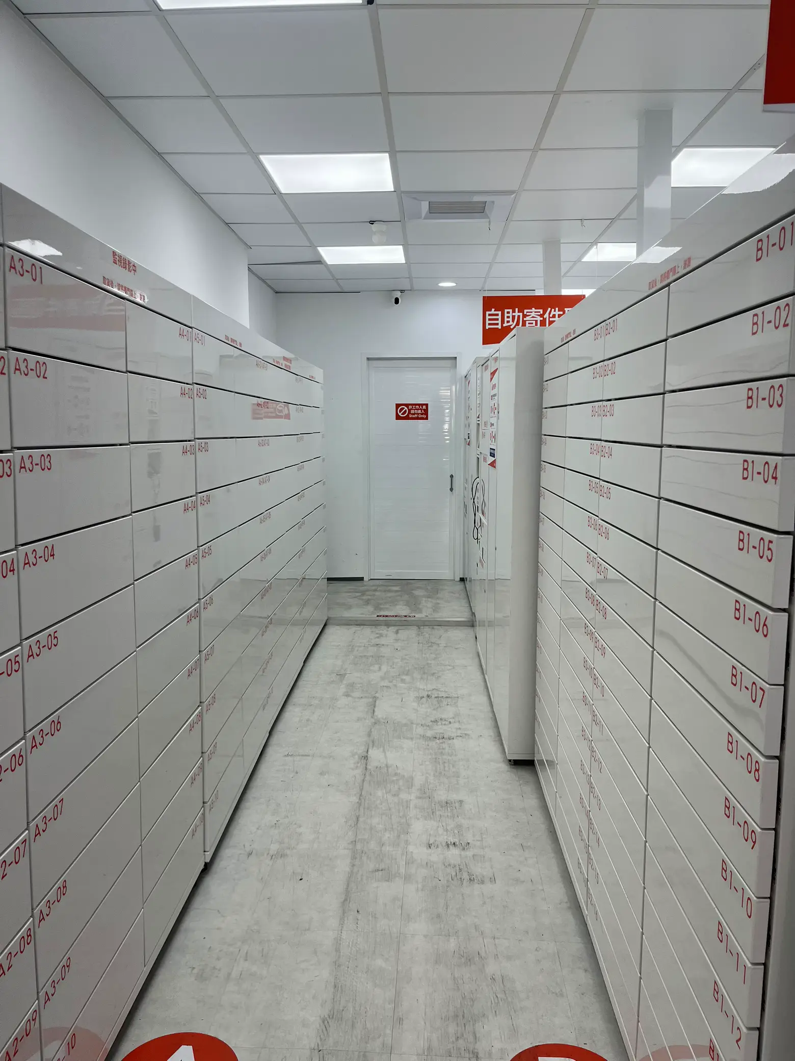 แอพshopee china - การค้นหาใน Lemon8