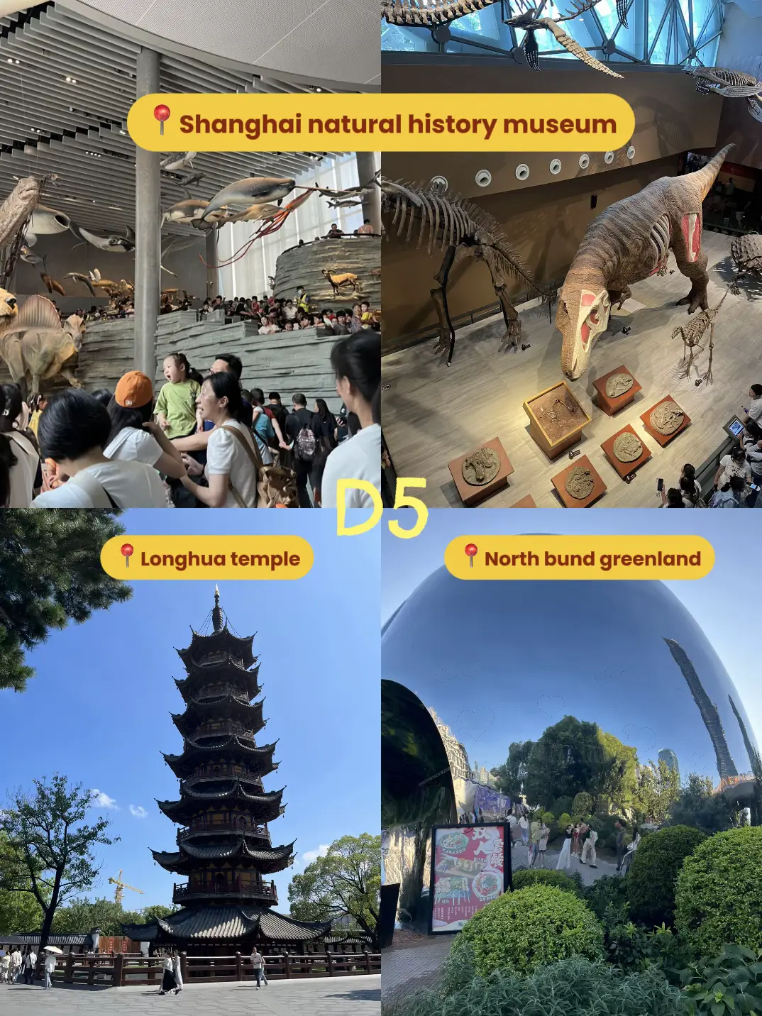 🇨🇳 เที่ยวจีน 6วัน5คืน งบ22xxx โครตจึ้ง 🪭 | แกลเลอรีที่โพสต์โดย ...