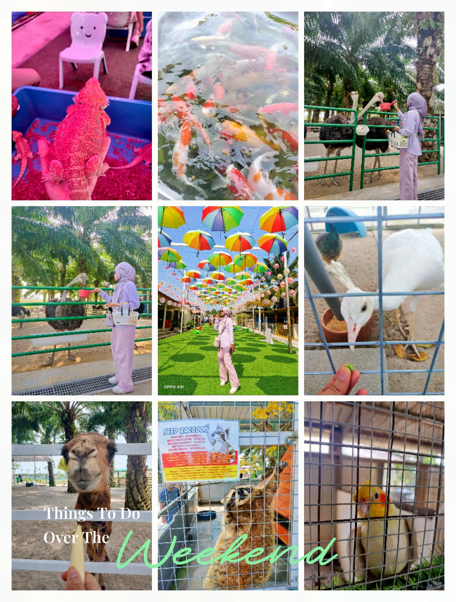 minizoodesaru - Carian Lemon8