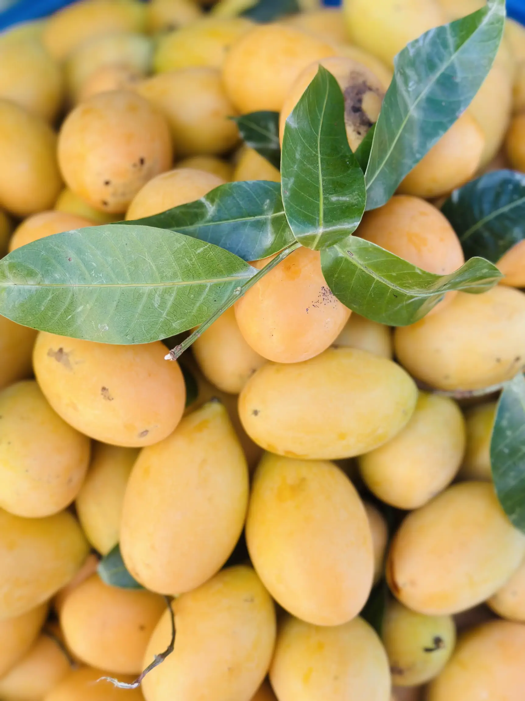 By.Ammy | แกลเลอรีที่โพสต์โดย A•M•M•Y | Lemon8