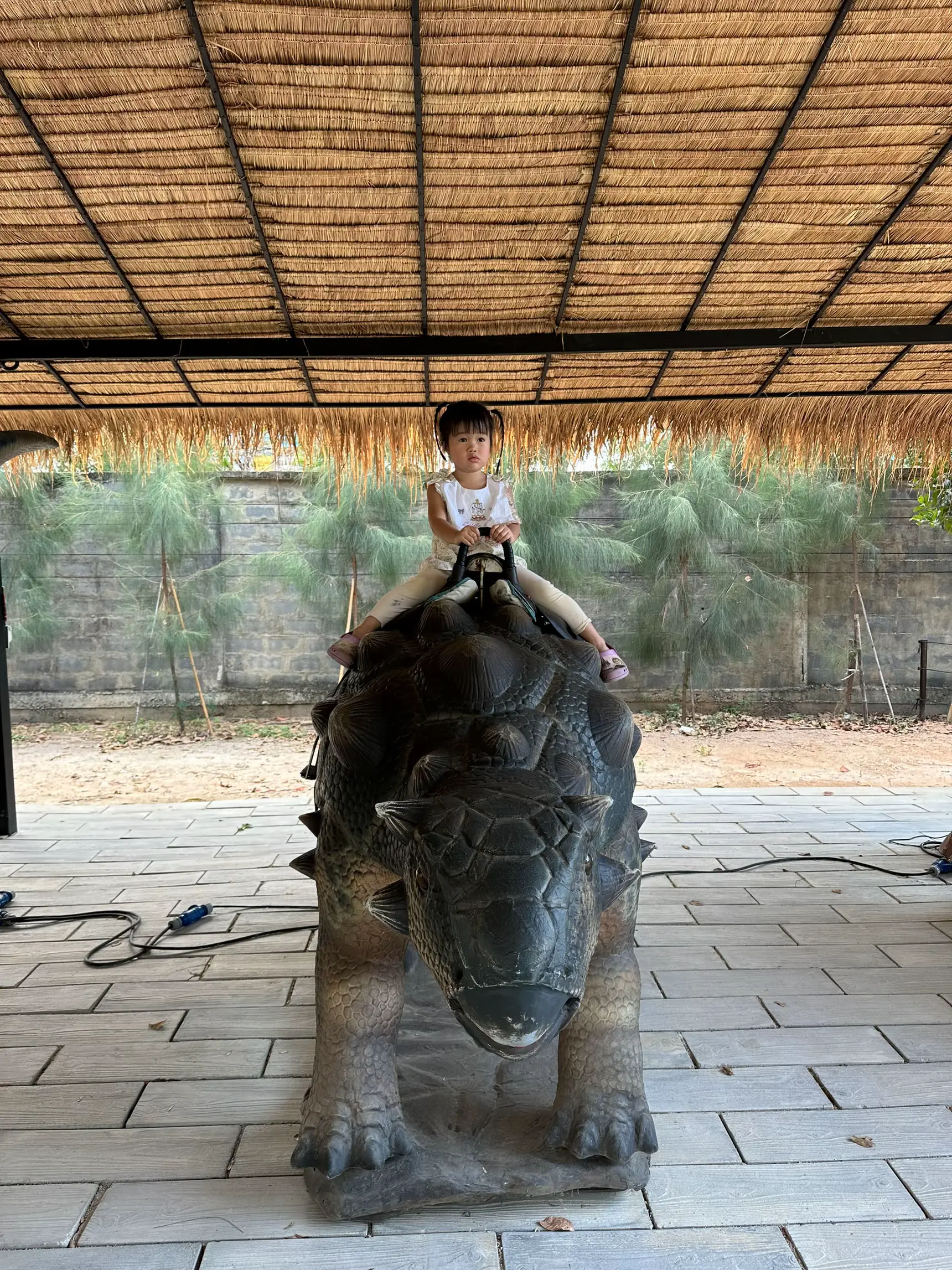 พาลูกเที่ยว : สวนไดโนเสาร์ พัทยา Dinosaur Kingdom | แกลเลอรีที่โพสต์โดย ไอแอมอั่งเปา | Lemon8