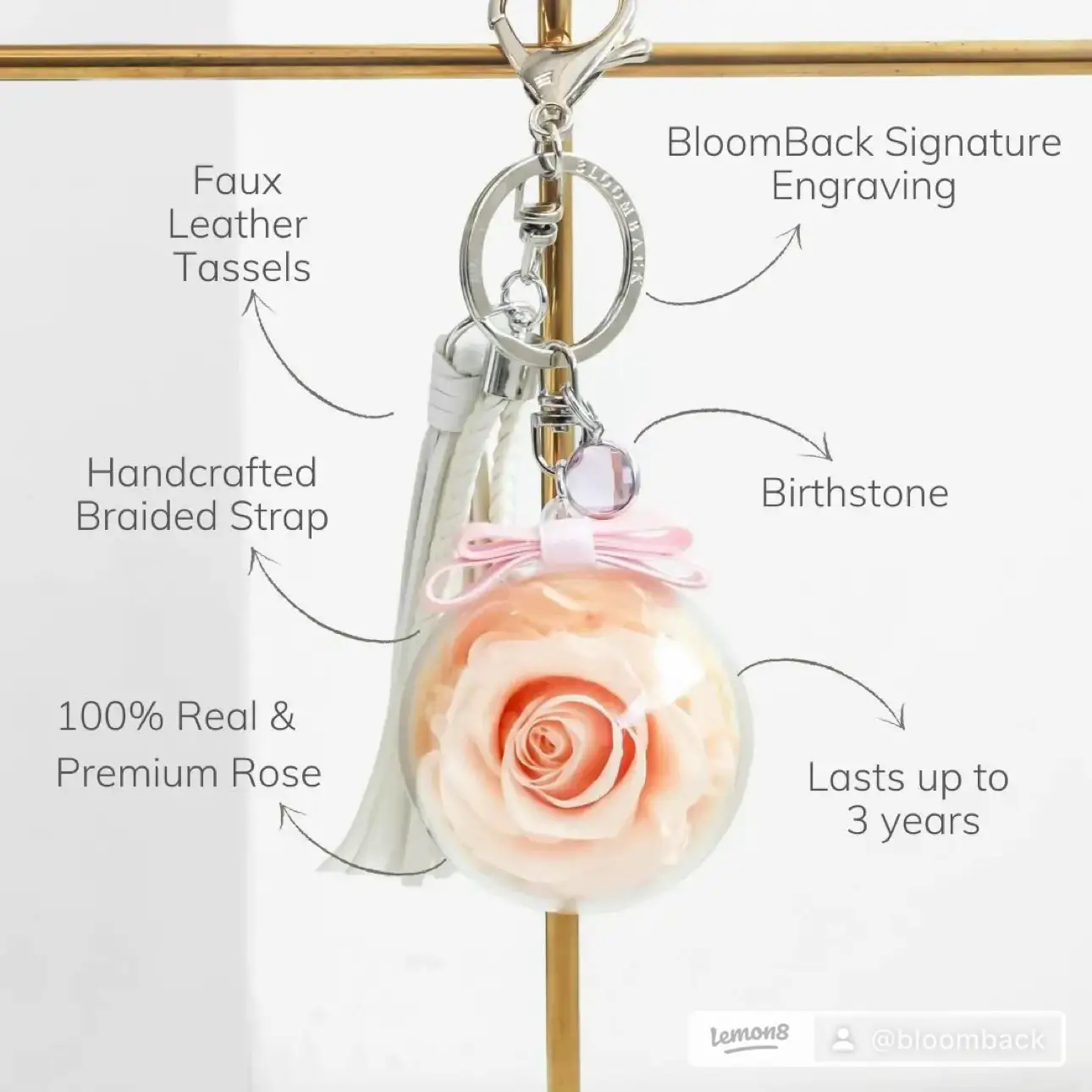 A Beginner’s Guide to Preserved Flowers | Gallery posted by Bloomback | Lemon8