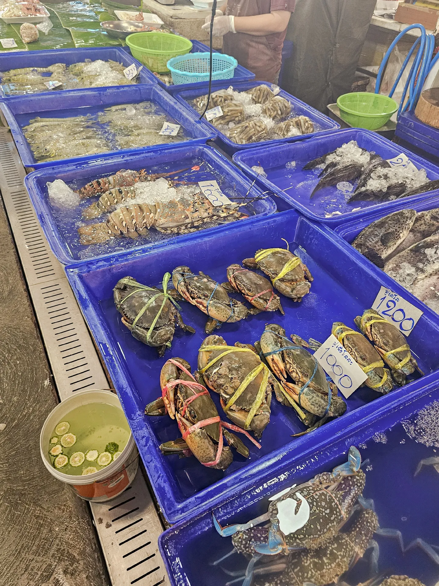 รีวิวตลาดเช้า | แกลเลอรีที่โพสต์โดย Tippy _55 | Lemon8