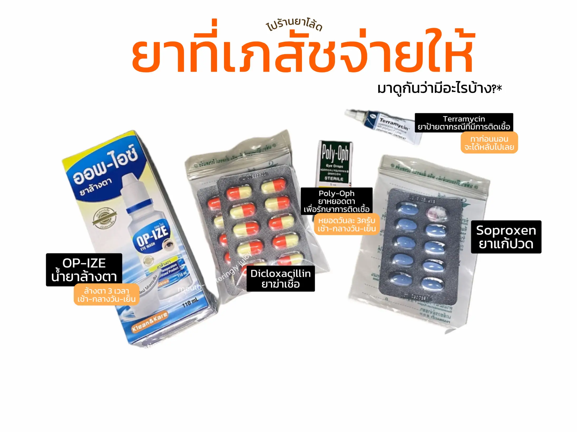 ตากุ้งยิง ยา Dicloxacillin - การค้นหาใน Lemon8