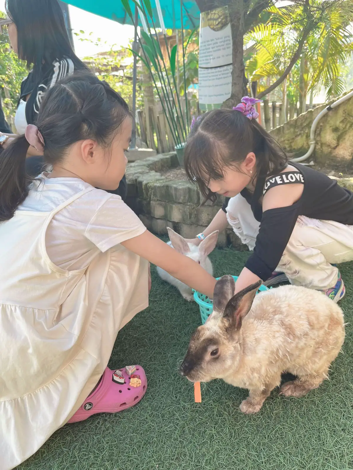 Batam zoo paradise’s experience | Gallery posted by lemonmee | Lemon8