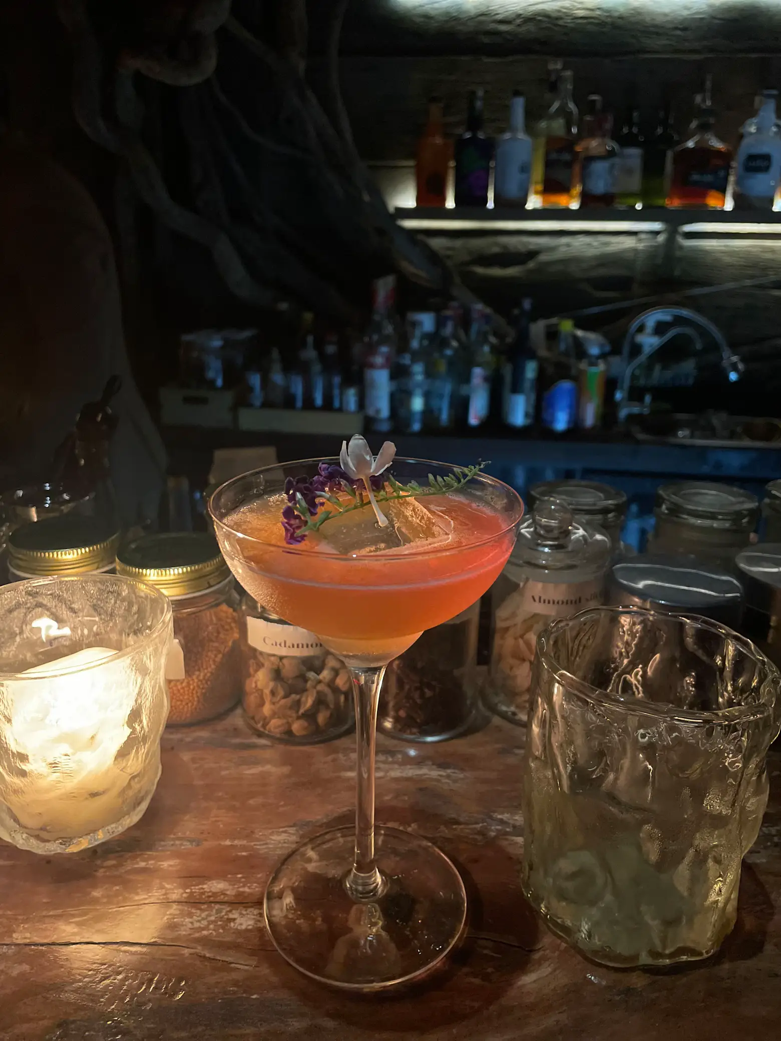 Root Bar บาร์ลับของจริงย่านลาดพร้าว!🍸 | แกลเลอรีที่โพสต์โดย chuuu🦮 | Lemon8