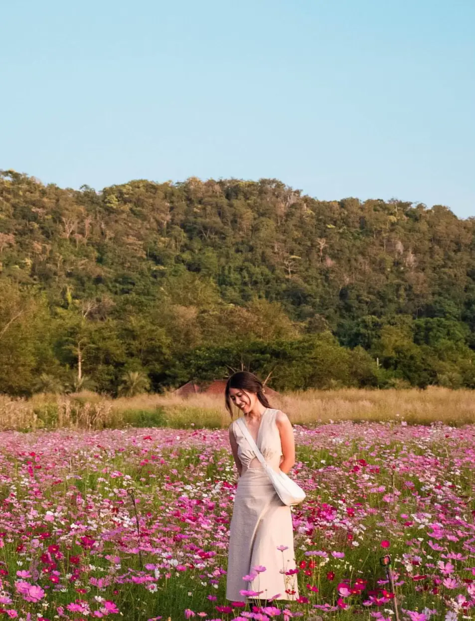 ‘Hokkaido Flower Park Khaoyai’ 🌸🎧 | แกลเลอรีที่โพสต์โดย lbzero | Lemon8