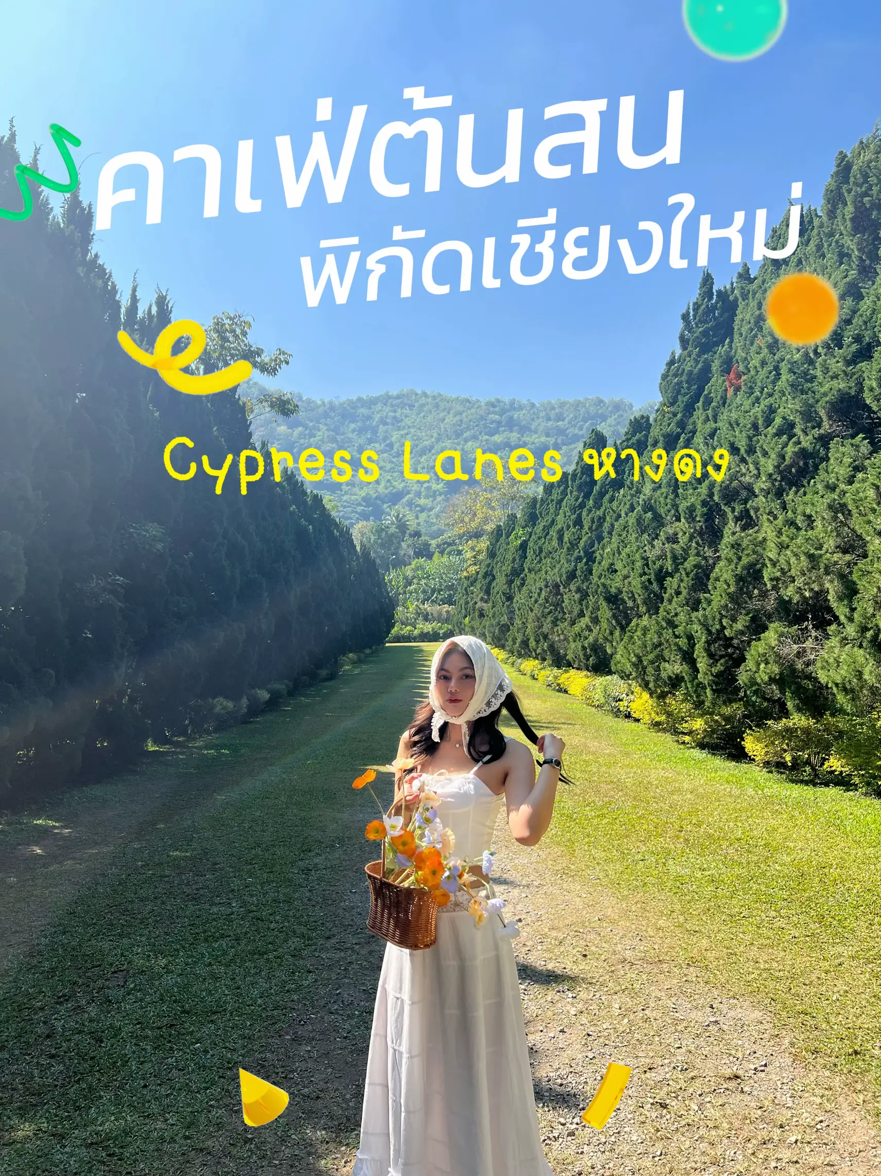 พิกัดถ่ายรูปเชียงใหม่ #คาเฟ่ต้นสน | แกลเลอรีที่โพสต์โดย armmee🌻 | Lemon8