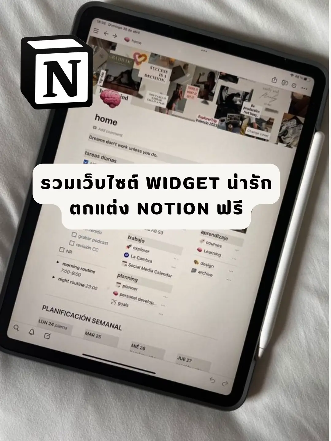 วิธีแต่ง notion | 2024 ประสบการณ์ผู้ใช้จริงบน Lemon8