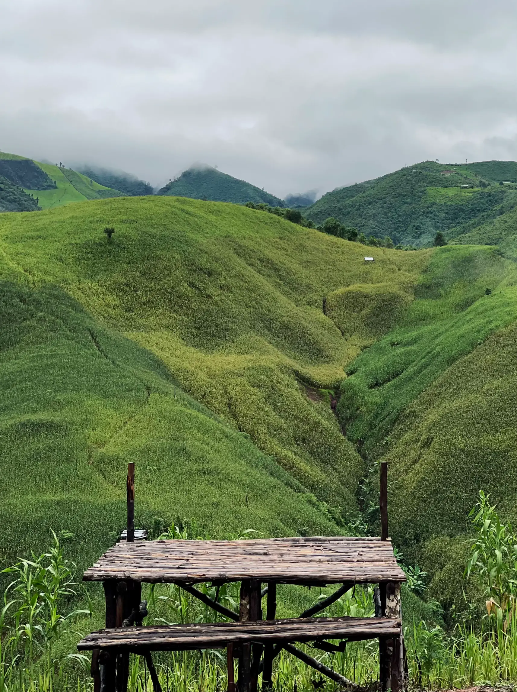 บ้านปันสุข สะปัน จ.น่าน 🌿 | แกลเลอรีที่โพสต์โดย Nailvigator | Lemon8