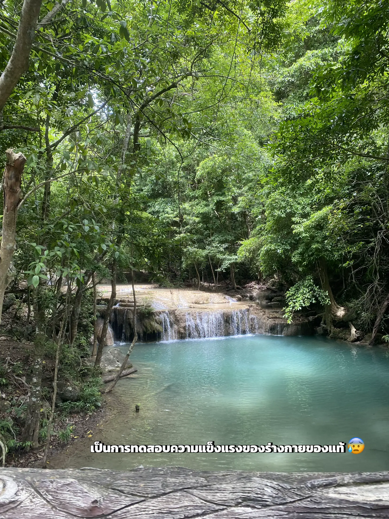 KANJANABURI 2วัน1คืน🫶🏼🍅🐶 | แกลเลอรีที่โพสต์โดย NooLek Chicagog | Lemon8