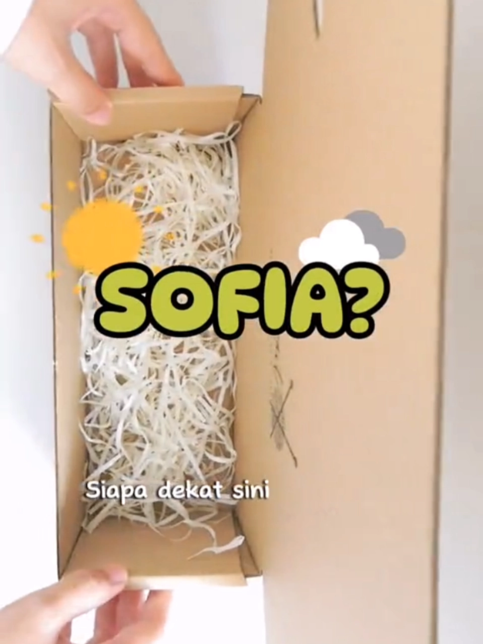 Ada sesiapa nama Sofia? 😍💓 | Video diterbitkan oleh SOKAIT | Lemon8