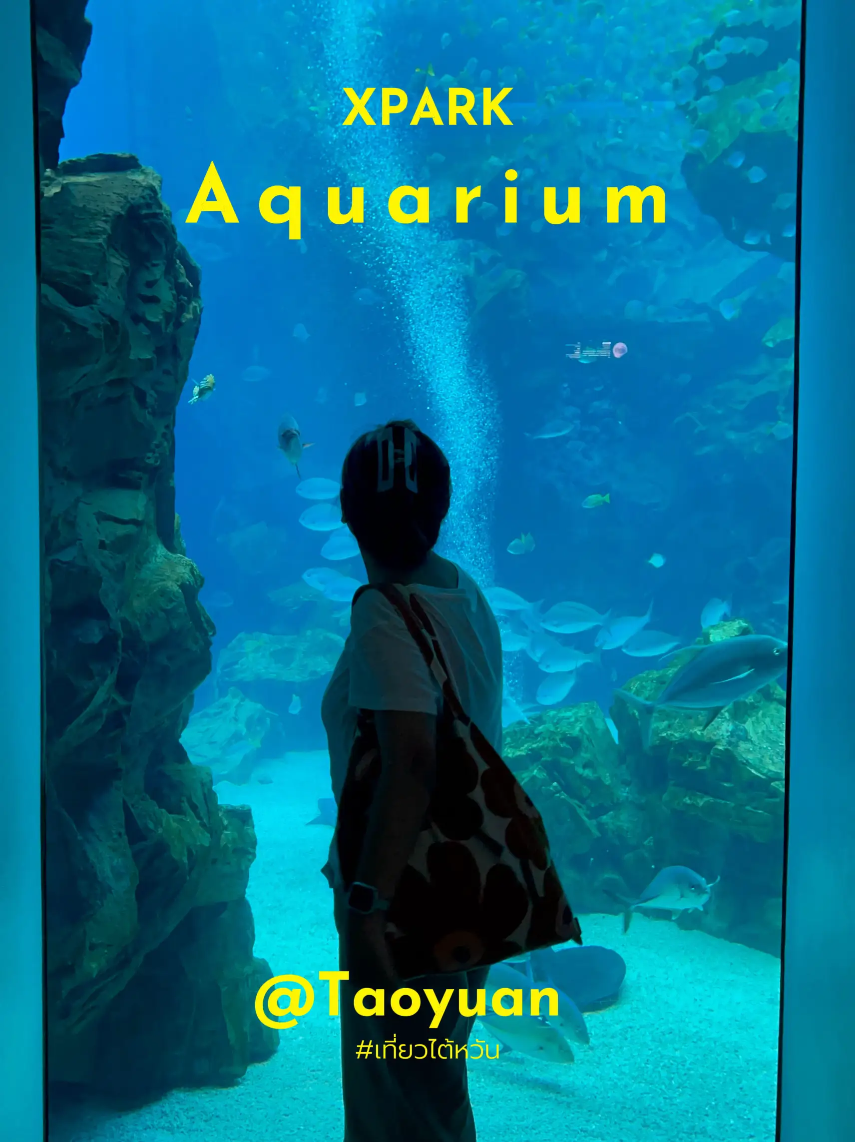 🐬 Xpark Aquarium 🪼 | แกลเลอรีที่โพสต์โดย BUNWANN | Lemon8