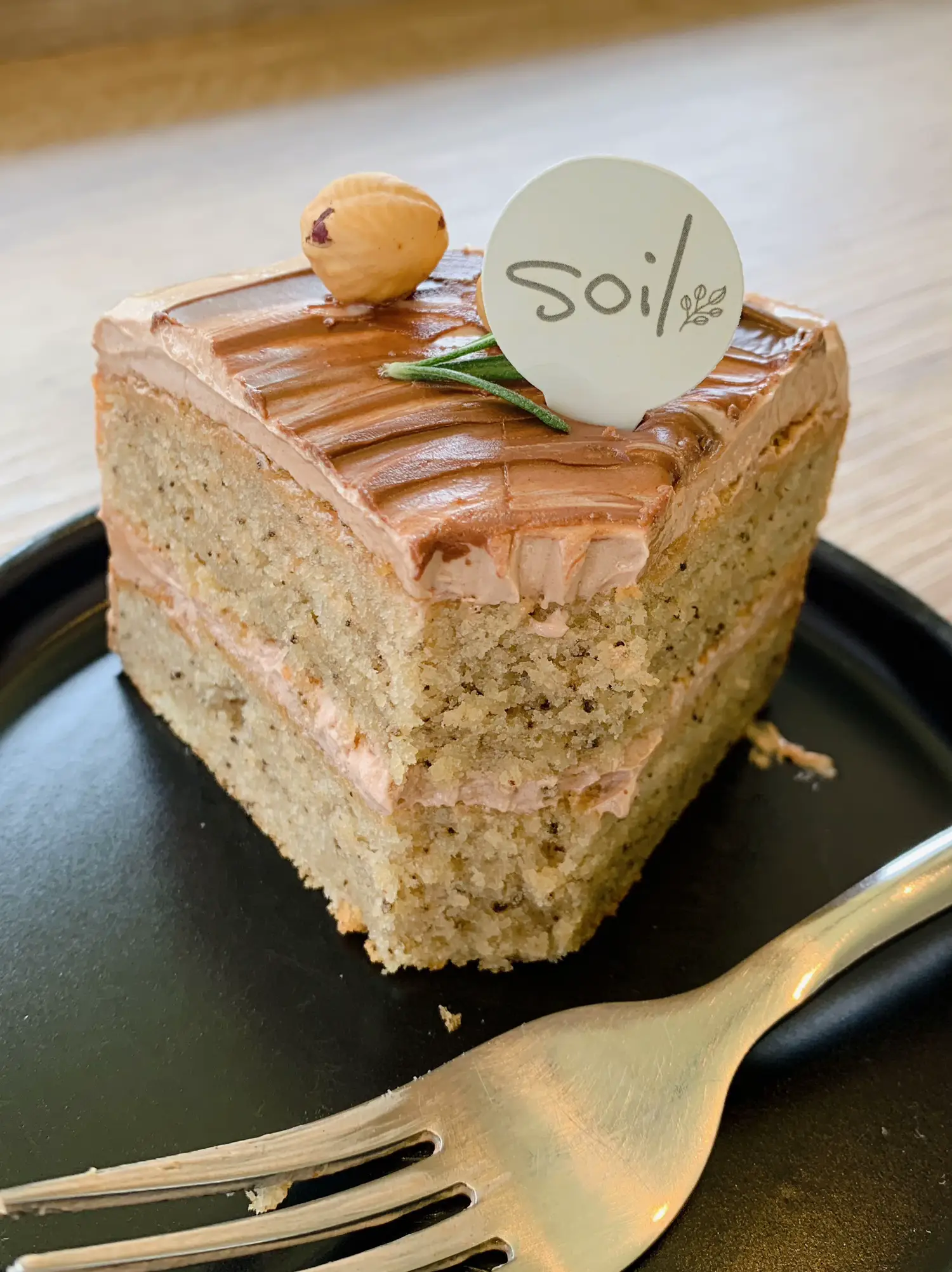 Soil Jb - Lemon8 Search