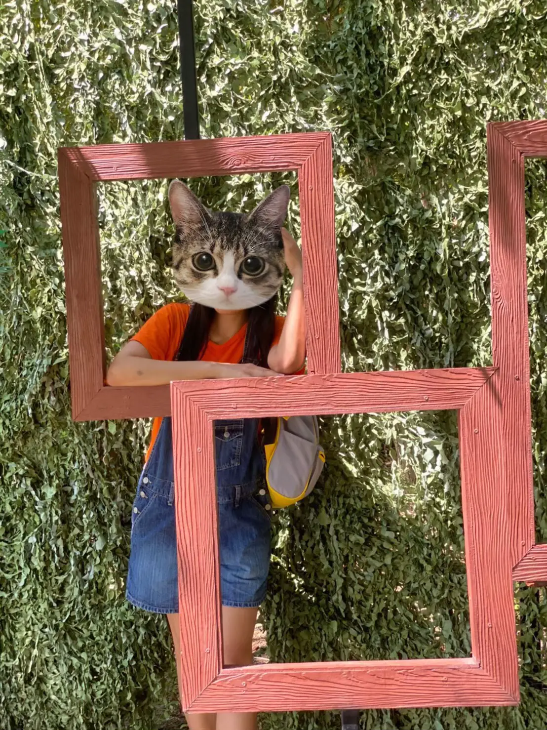 NEO FARM คาเฟ่สีสันสดใสโดนใจ @ ราชบุรี 🌈 | แกลเลอรีที่โพสต์โดย ...